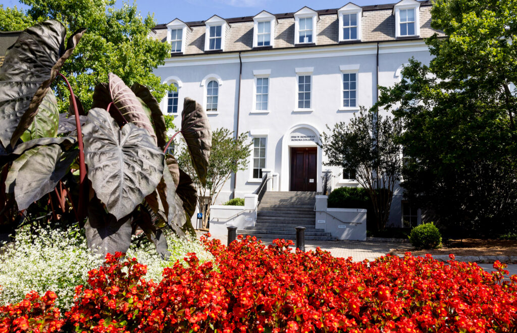 Nancy Ferguson - UGA Office of Instruction