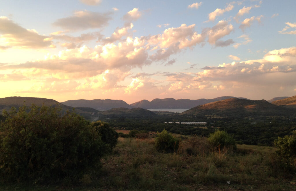 Molly Huber featured image - UGA Office of Instruction