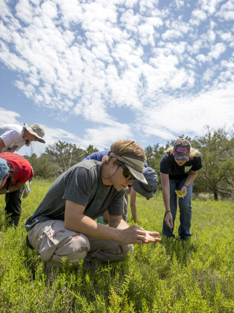 Domestic Field Study - UGA Office of Instruction